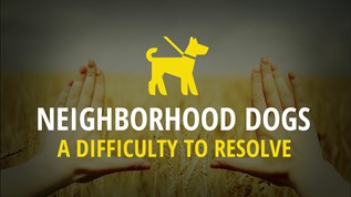 NEIGHBORHOOD DOGS at emaze Presentation