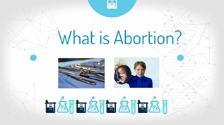 Abortions at emaze Presentation