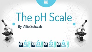 The pH Scale at emaze Presentation