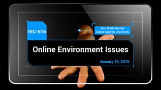 Online Environment Issues at emaze Presentation