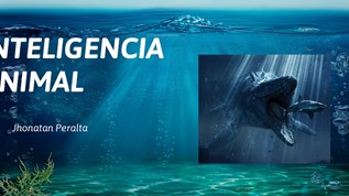 INTELIGENCIA ANIMAL at emaze Presentation