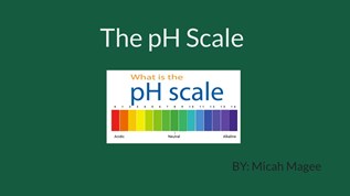The pH Scale at emaze Presentation