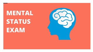 MENTAL STATUS EXAM at emaze Presentation