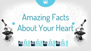 Amazing Facts About Your Heart at emaze Presentation
