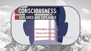 Limitless at emaze Presentation