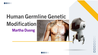 Human Germline Genetic Modification at emaze Presentation