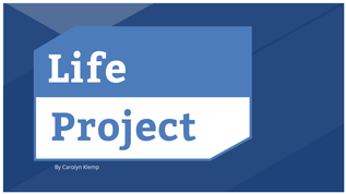Life Project Reflection at emaze Presentation
