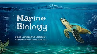 Marine Biology at emaze Presentation