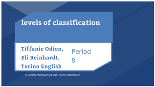 Levels of Classification at emaze Presentation
