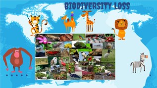 ENVIRONMENTAL at emaze Presentation