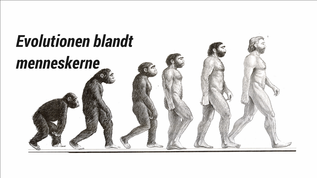 Biologi om evolution at emaze Presentation