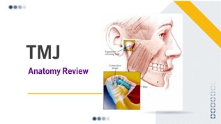 TMJ anatomy review.pptx copy1 at emaze Presentation