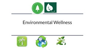 Environmental Wellness at emaze Presentation