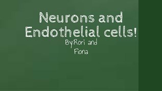 Neurons and Stem cells! at emaze Presentation