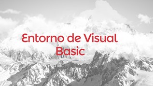 Entorno de Visual Basic at emaze Presentation