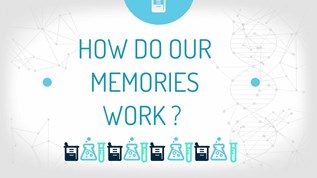 HOW DOES THE MEMORY WORK at emaze Presentation