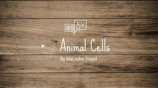 Cells at emaze Presentation