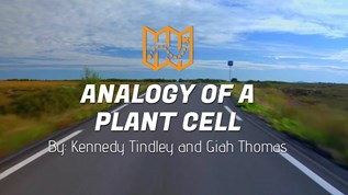 Analogy of a cell at emaze Presentation