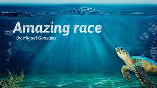 Amazing race project at emaze Presentation