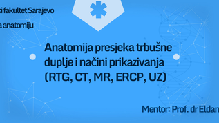 Anatomija at emaze Presentation