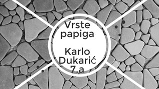 Vrste papiga at emaze Presentation