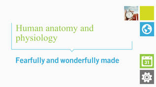 Human anatomy and physiology at emaze Presentation