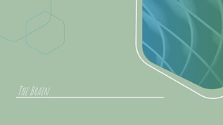 The Brain at emaze Presentation