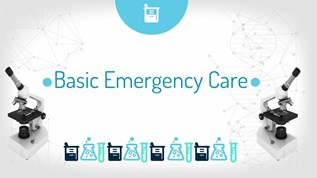 Basic Emergency Care at emaze Presentation