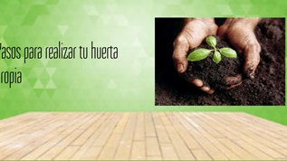 Como realizar tu huera orgánica at emaze Presentation