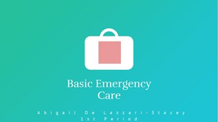 Basic Emergency Care at emaze Presentation