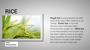 tania rice at emaze Presentation