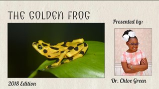 The Golden Frog at emaze Presentation