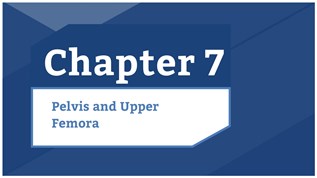 Chapter 7 at emaze Presentation