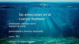 narelly at emaze Presentation