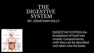THE DIGESTIVE SYSTEM at emaze Presentation