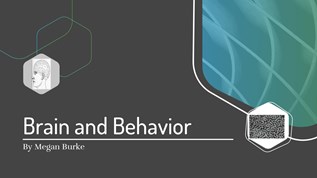 Brain and Behavior at emaze Presentation