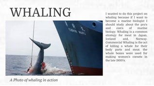 Whaling presentation at emaze Presentation