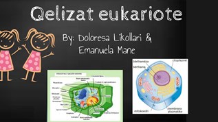 QELIZAT EUKARIOTE at emaze Presentation