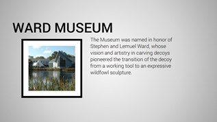 Ward Museum at emaze Presentation