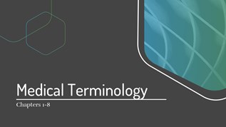 Midterm Presentation at emaze Presentation