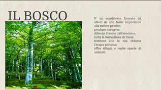 il bosco at emaze Presentation