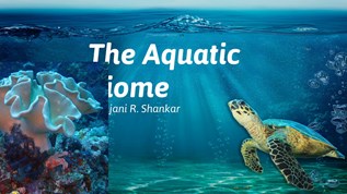 The Aquatic Biome at emaze Presentation