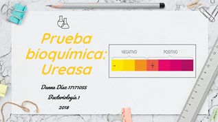 Prueba bioquímica: Ureasa at emaze Presentation