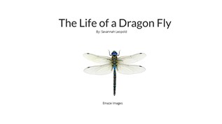 Life Science Year Long Project Dragonfly at emaze Presentation