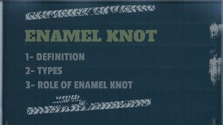 ENAMEL KNOT at emaze Presentation