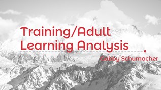 TrainingAdult Learning Analysis at emaze Presentation