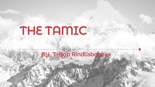 the tamic at emaze Presentation