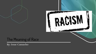 The Meaning of Race at emaze Presentation
