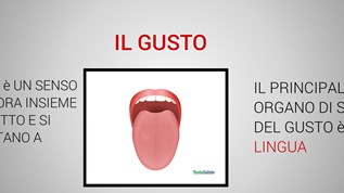 il gusto at emaze Presentation