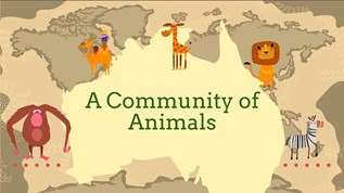 A Community of Animals at emaze Presentation